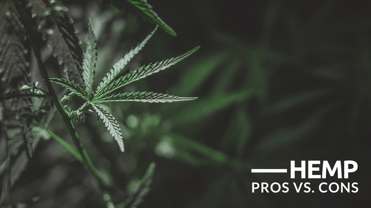 Exploring the Pros and Cons of Hemp Products – DIME BAGS®